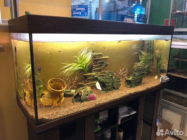 Аквариум 450 л б/у