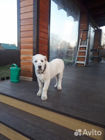 Осталась одна девчуля