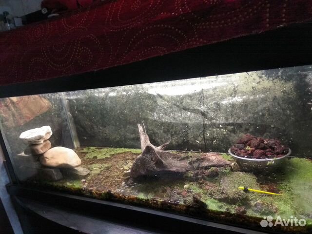 Аквариум 240л