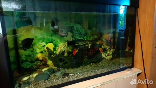 Аквариум