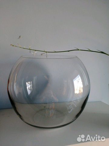 Аквариум круглый
