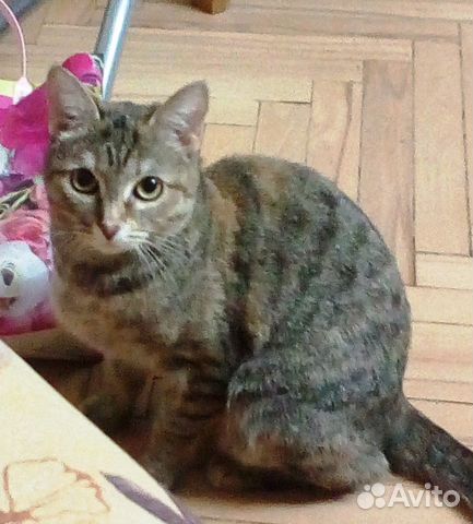 Ласковая Даниэла ищет дом