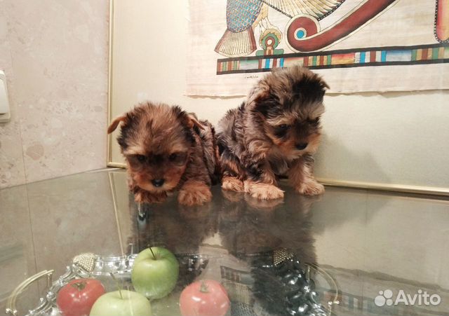 Для счастья и любви малютки