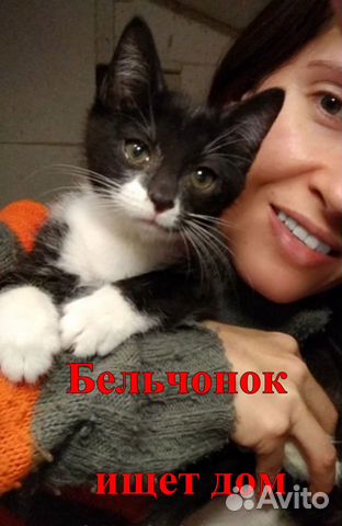 Ласковый Котенок-Космонавт. Бельчонок. 3.5 мес