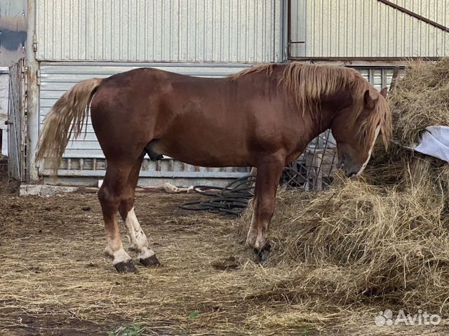 Советский тяжеловоз