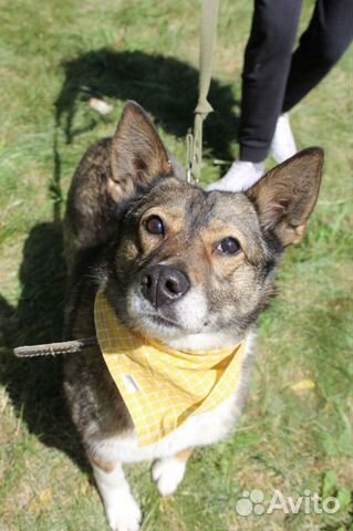 Заберите меня из приюта