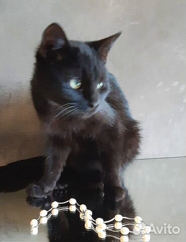 Красавица Нюрочка