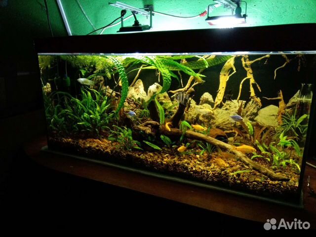 Продам аквариум