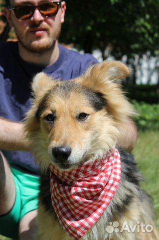 Франц верит,что его спасут. Он ждет тебя