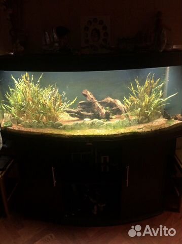 Аквариум