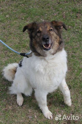 Ласковая девочка сидит за решеткой