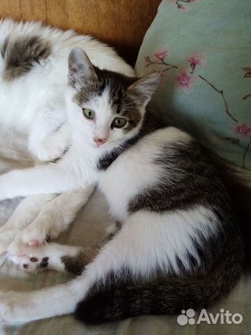 Милый паренек в добрые ручки