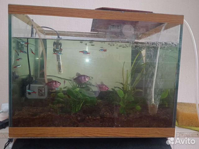 Аквариум с рыбками и принадлежностями