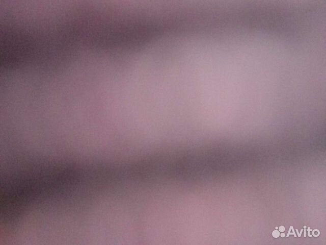 Продаю индо-утят