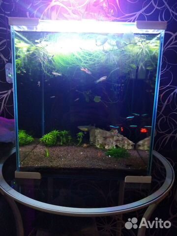 Аквариум