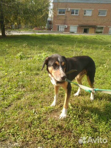 Спасен из черного приюта