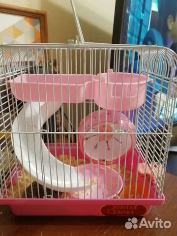 Хомяк джингурик с клеткой