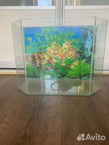 Аквариум с фильтром и декорацией