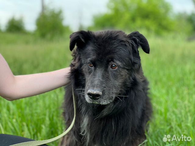 Несчастен. Обижали люди