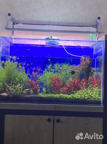 Питательный грунт Ista Premium Soil