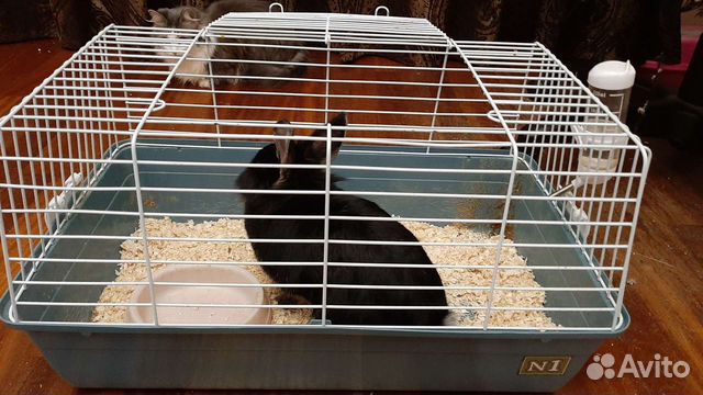 Заяц декоративная с клеткой