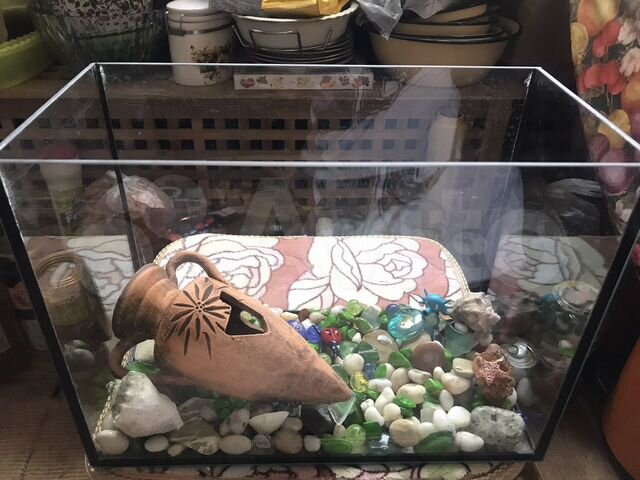 Аквариум с аксессуарами