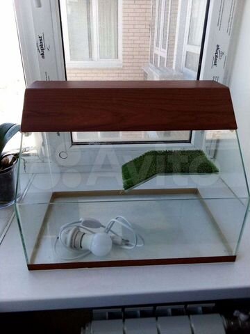 Террариум для Черепахи