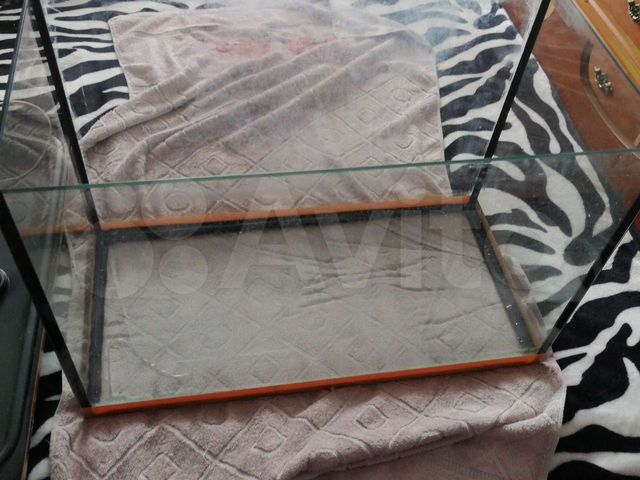 Аквариумные рыбки