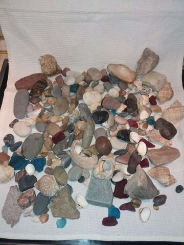 Камни и ракушки для аквариума или флорариума