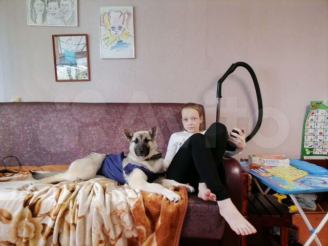 Отдам даром собаку в хорошие руки, девочка 9 мес с